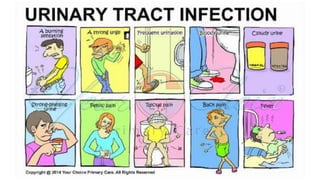 Urinary tract infection patient education | PPTX