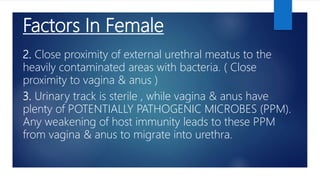 Urinary track infection | PPTX