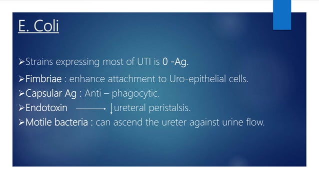 Urinary track infection | PPTX | Pregnancy | Reproductive Health