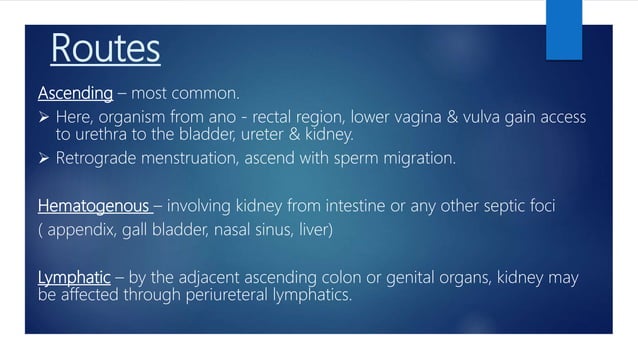 Urinary track infection | PPTX | Pregnancy | Reproductive Health