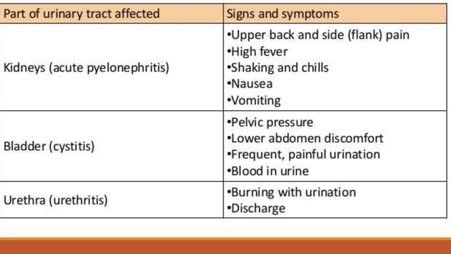 Urinary track infection | PPTX | Pregnancy | Reproductive Health