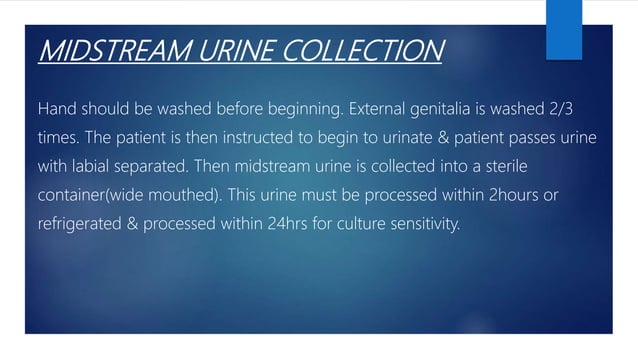 Urinary track infection | PPTX | Pregnancy | Reproductive Health