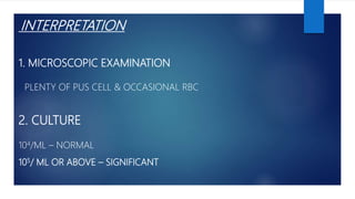 Urinary track infection | PPTX
