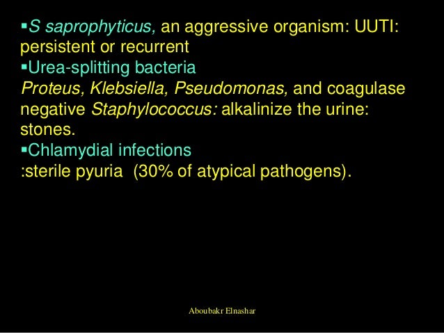 Urinary tract infections during pregnancy