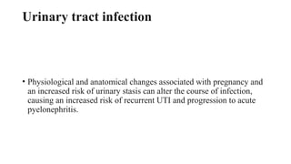urinary tract infection in pregnancy .pptx