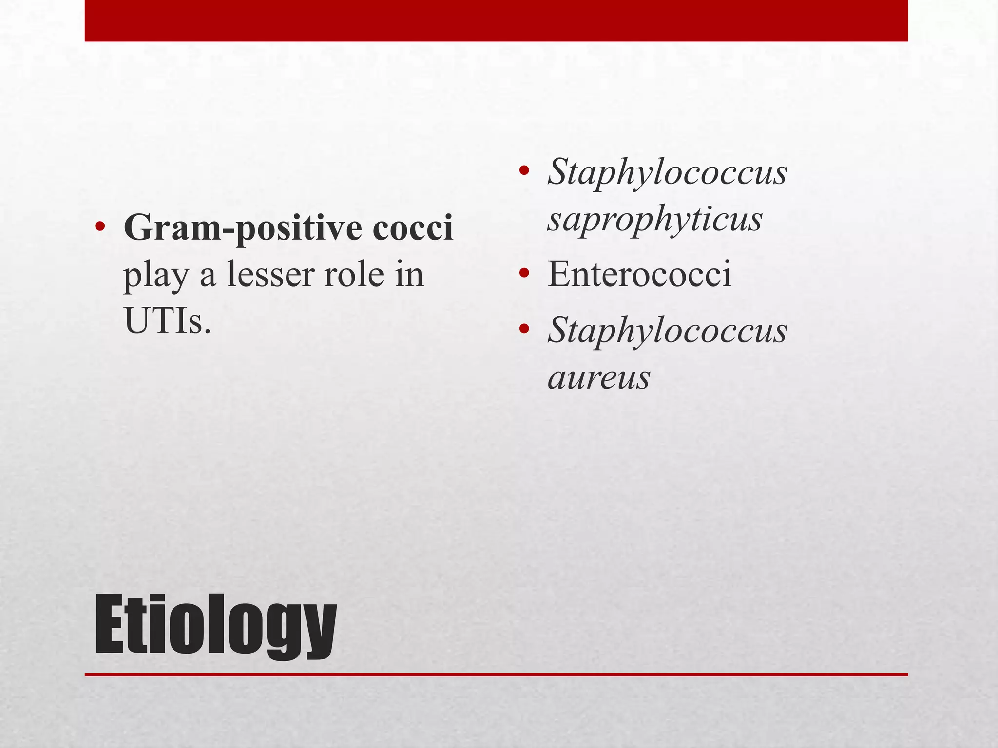 UTI Case Presentation | PPTX