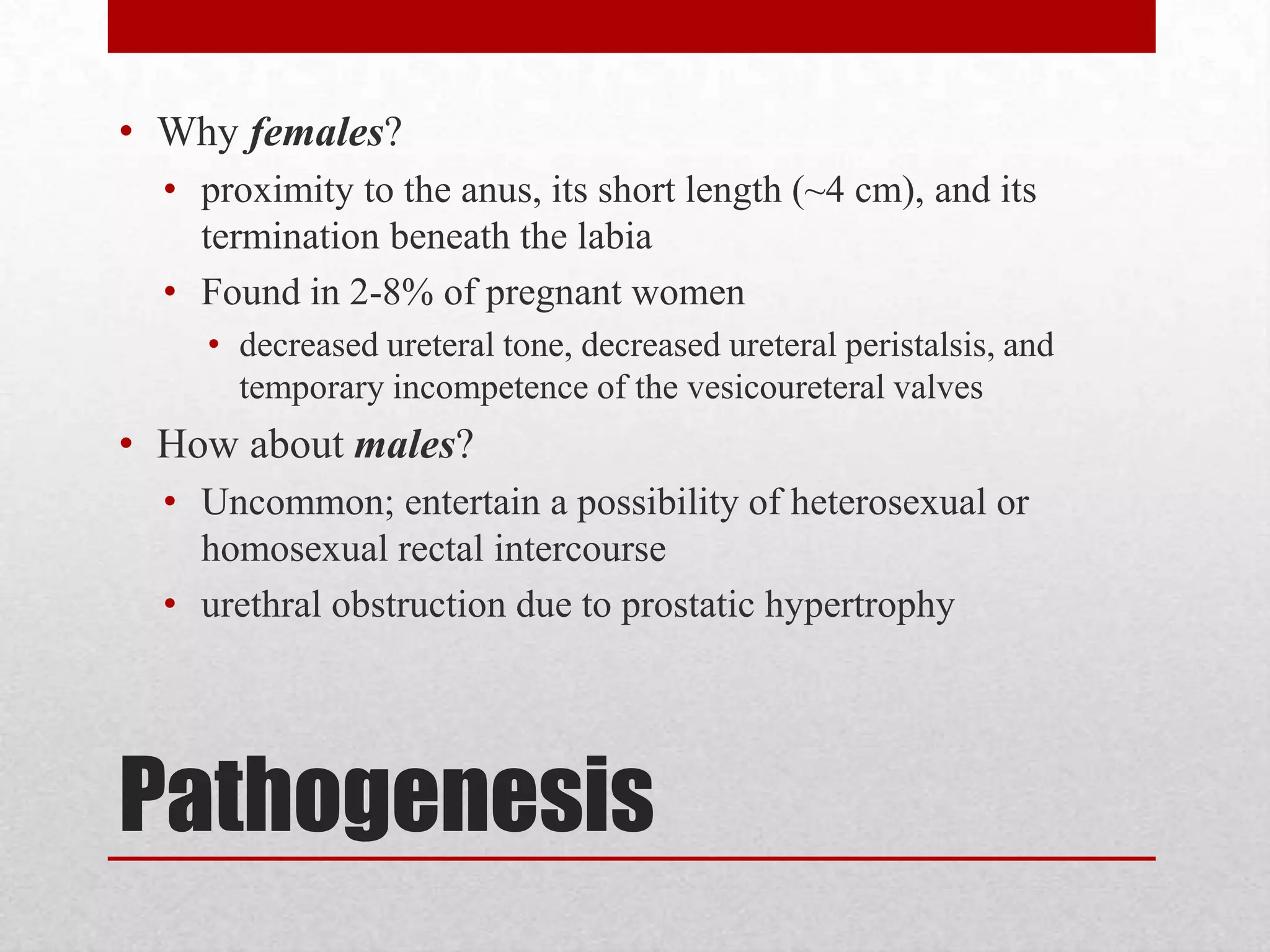 UTI Case Presentation | PPTX