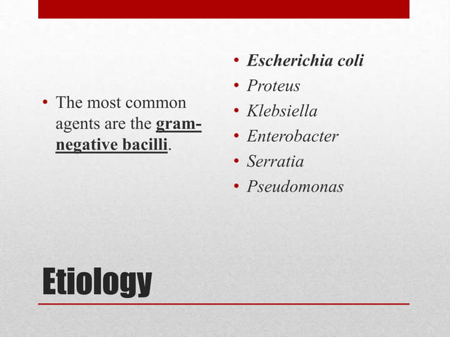 UTI Case Presentation | PPTX | Sexual Conditions | Sexual Health