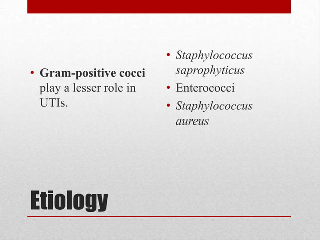 UTI Case Presentation | PPTX | Sexual Conditions | Sexual Health