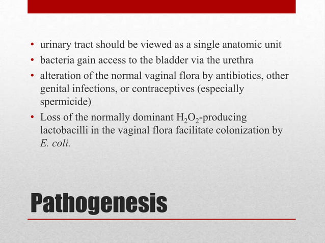 UTI Case Presentation | PPTX | Sexual Conditions | Sexual Health