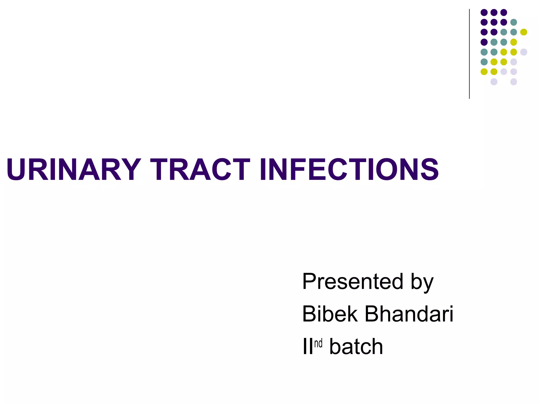 Urinary Tract Infection (UTI) | PPT