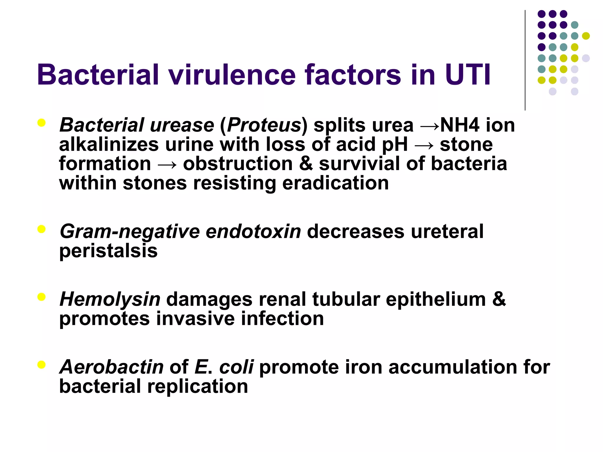 Urinary Tract Infection (UTI) | PPT