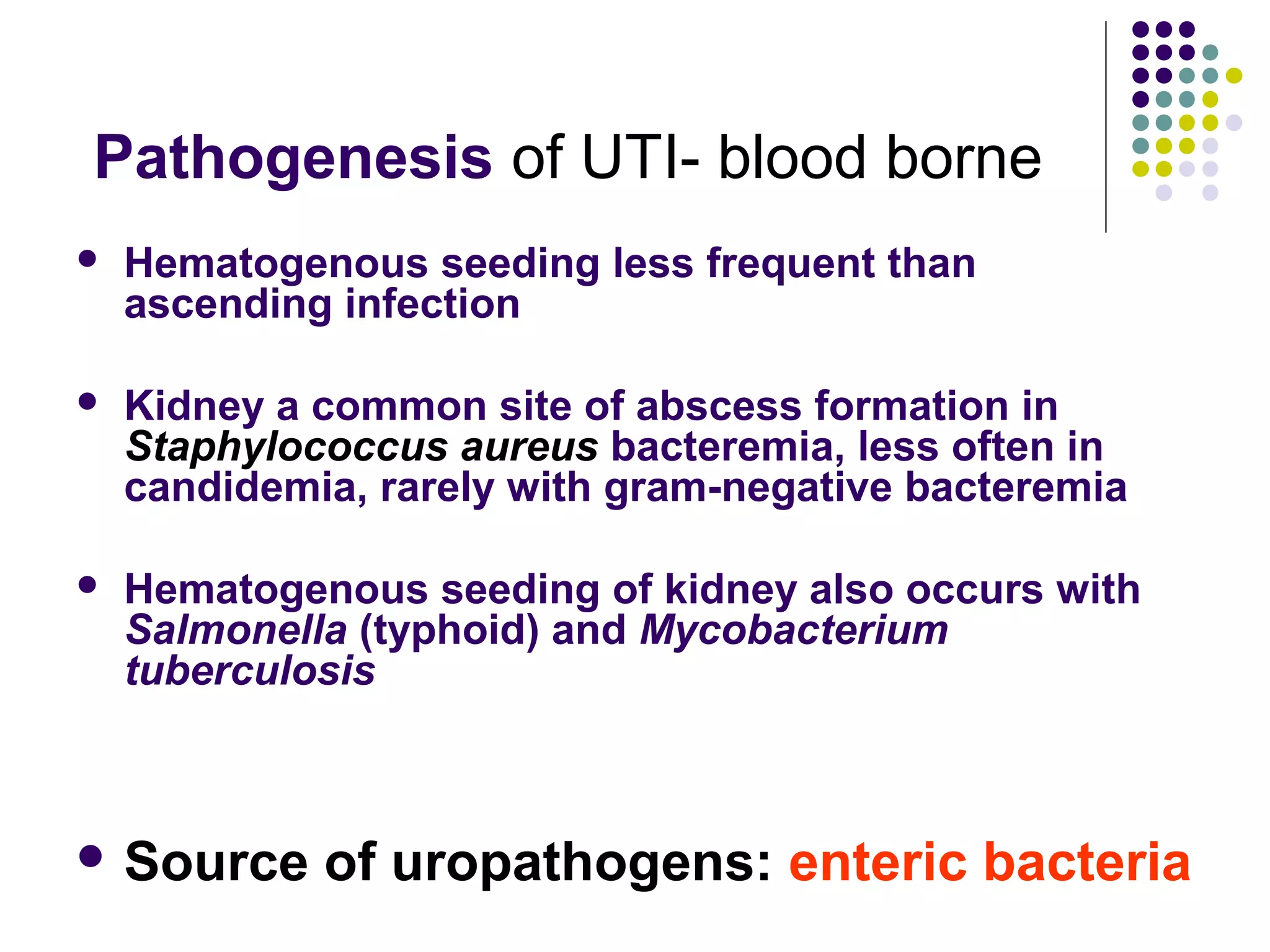 Urinary Tract Infection (UTI) | PPT
