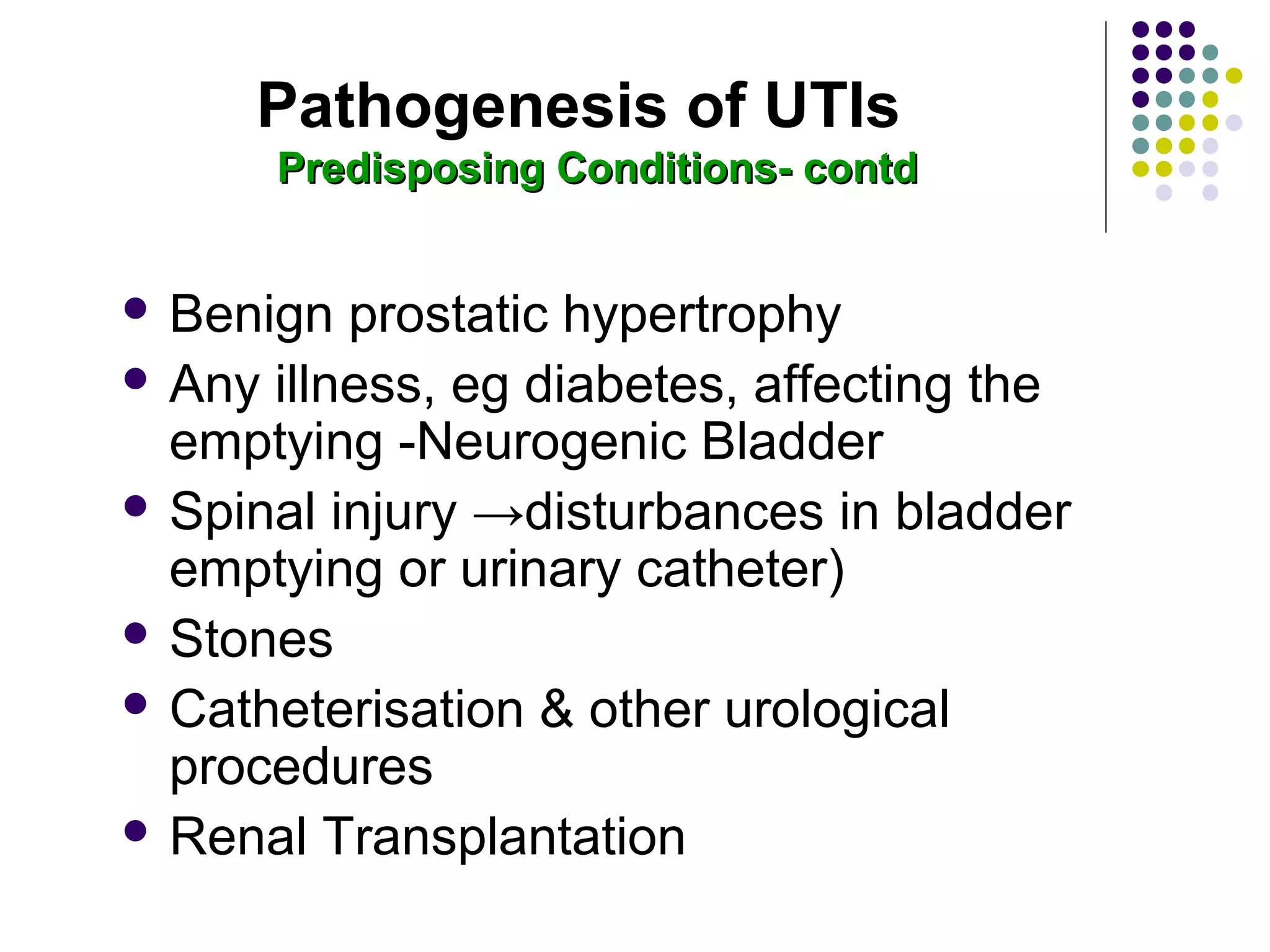 Urinary Tract Infection (UTI) | PPT