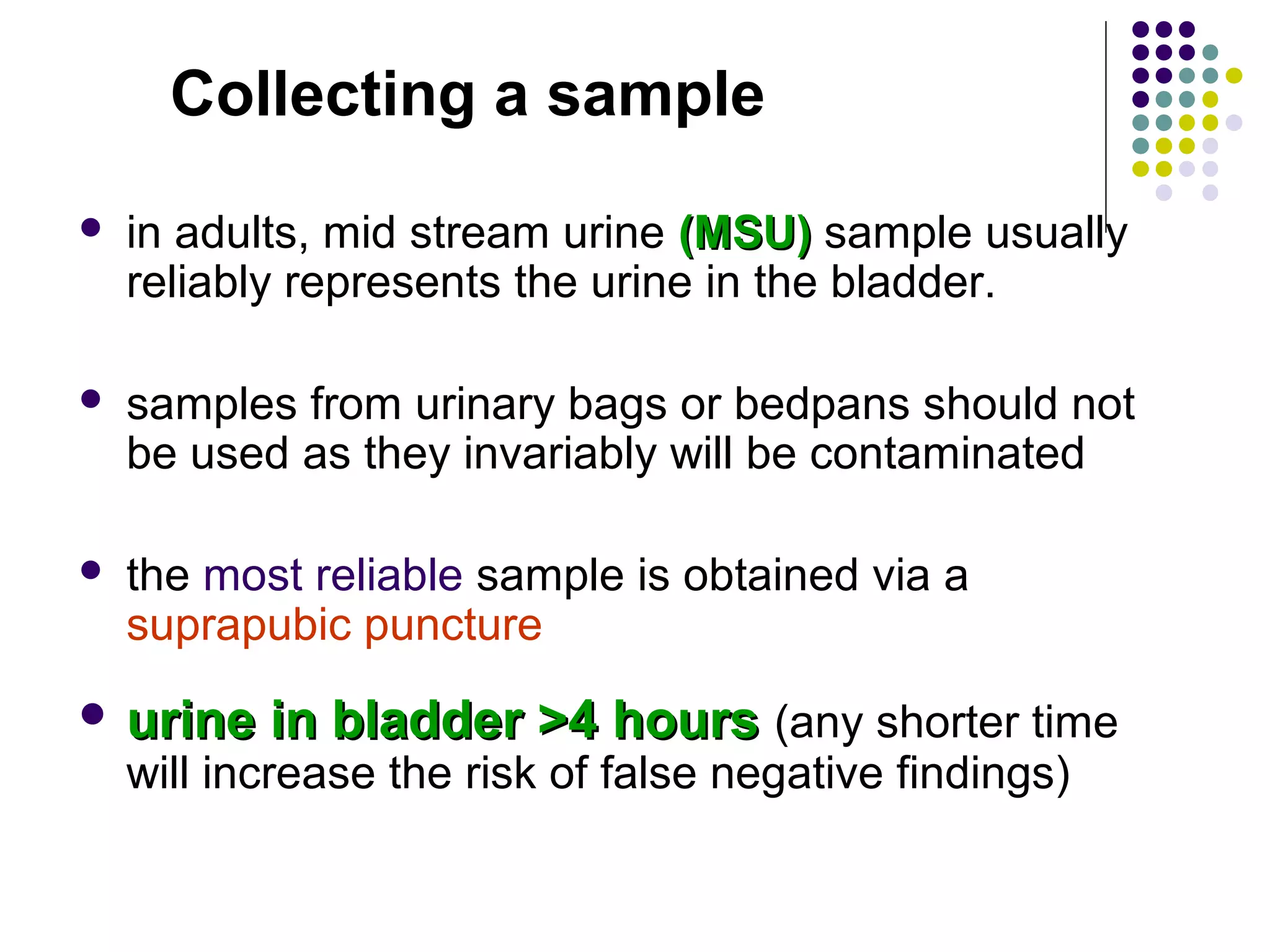 Urinary Tract Infection (UTI) | PPT