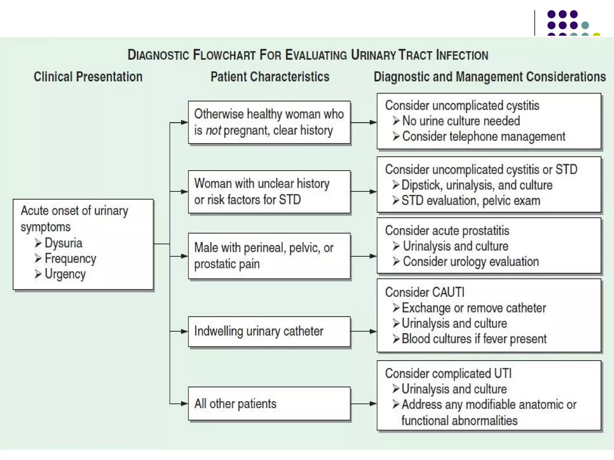 Urinary Tract Infection (UTI) | PPT