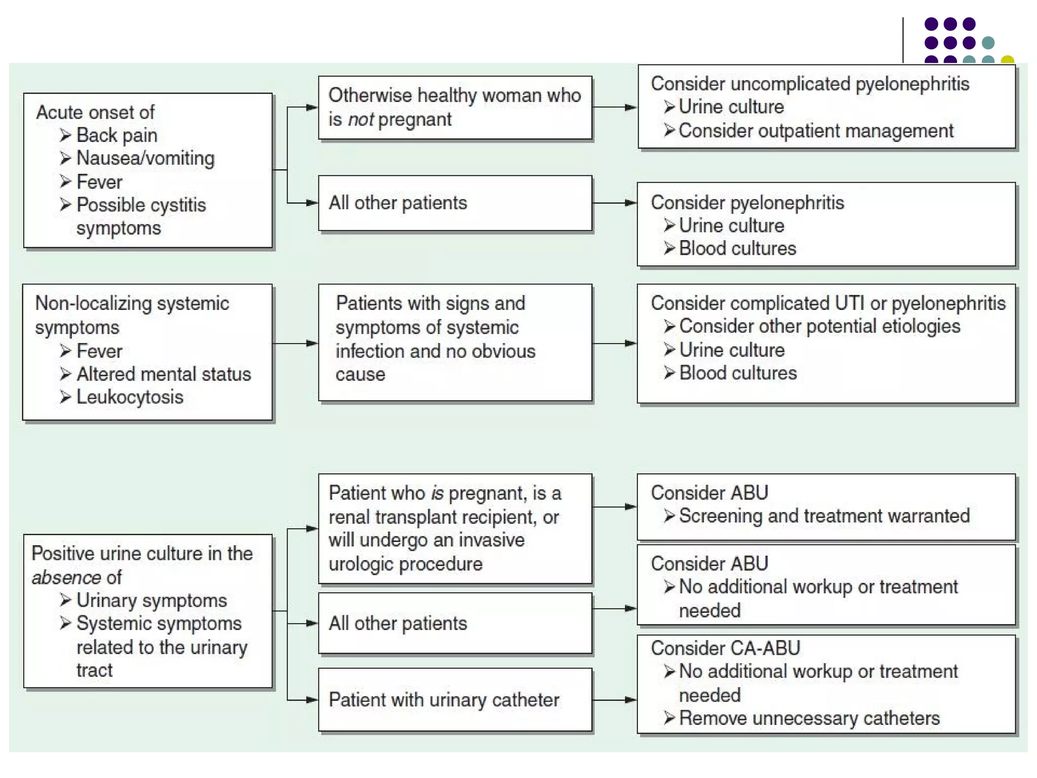 Urinary Tract Infection (UTI) | PPT