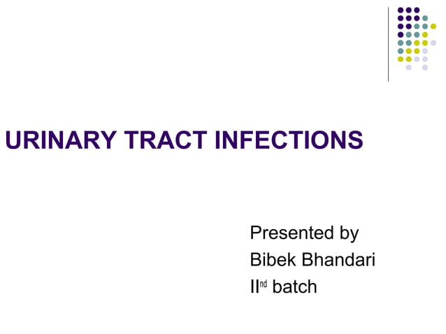 Urinary Tract Infection (UTI) | PPT