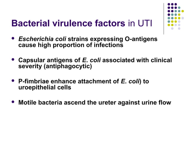 Urinary Tract Infection (UTI) | PPT