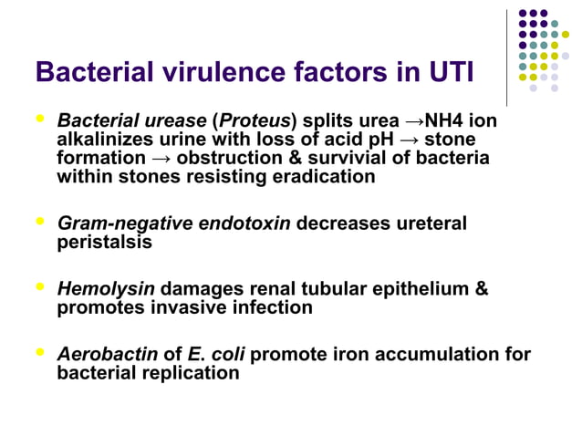 Urinary Tract Infection (UTI) | PPT