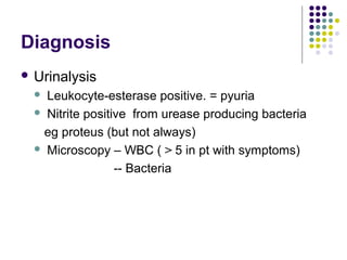 Urinary Tract Infection (UTI) | PPT