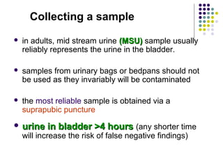 Urinary Tract Infection (UTI) | PPT