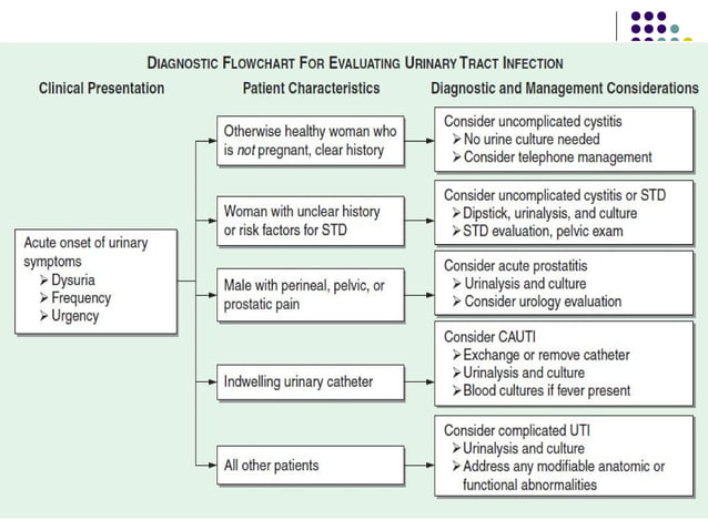 Urinary Tract Infection (UTI) | PPT