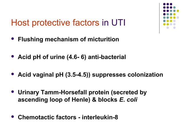 Urinary Tract Infection (UTI) | PPT