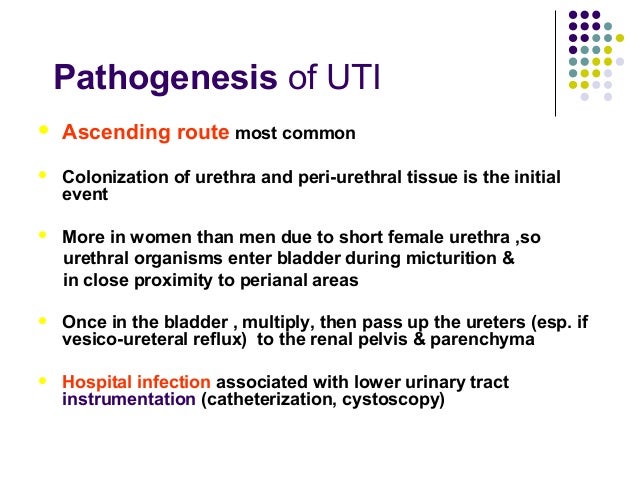 Urinary Tract Infection (UTI)