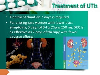 Treatment of Urinary Tract Infections | PPTX