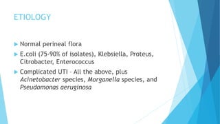 UTIs in pregnancy | PPTX