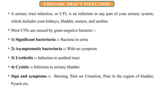 Urinary Tract Infection & Sexually Transmitted Diseases.pptx