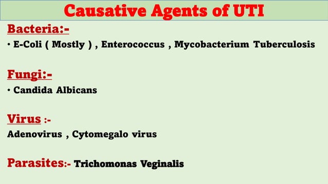 UTI ( Urinery Tract Infections ) kidney stone .pdf