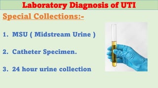 UTI ( Urinery Tract Infections ) kidney stone .pdf | Infectious ...