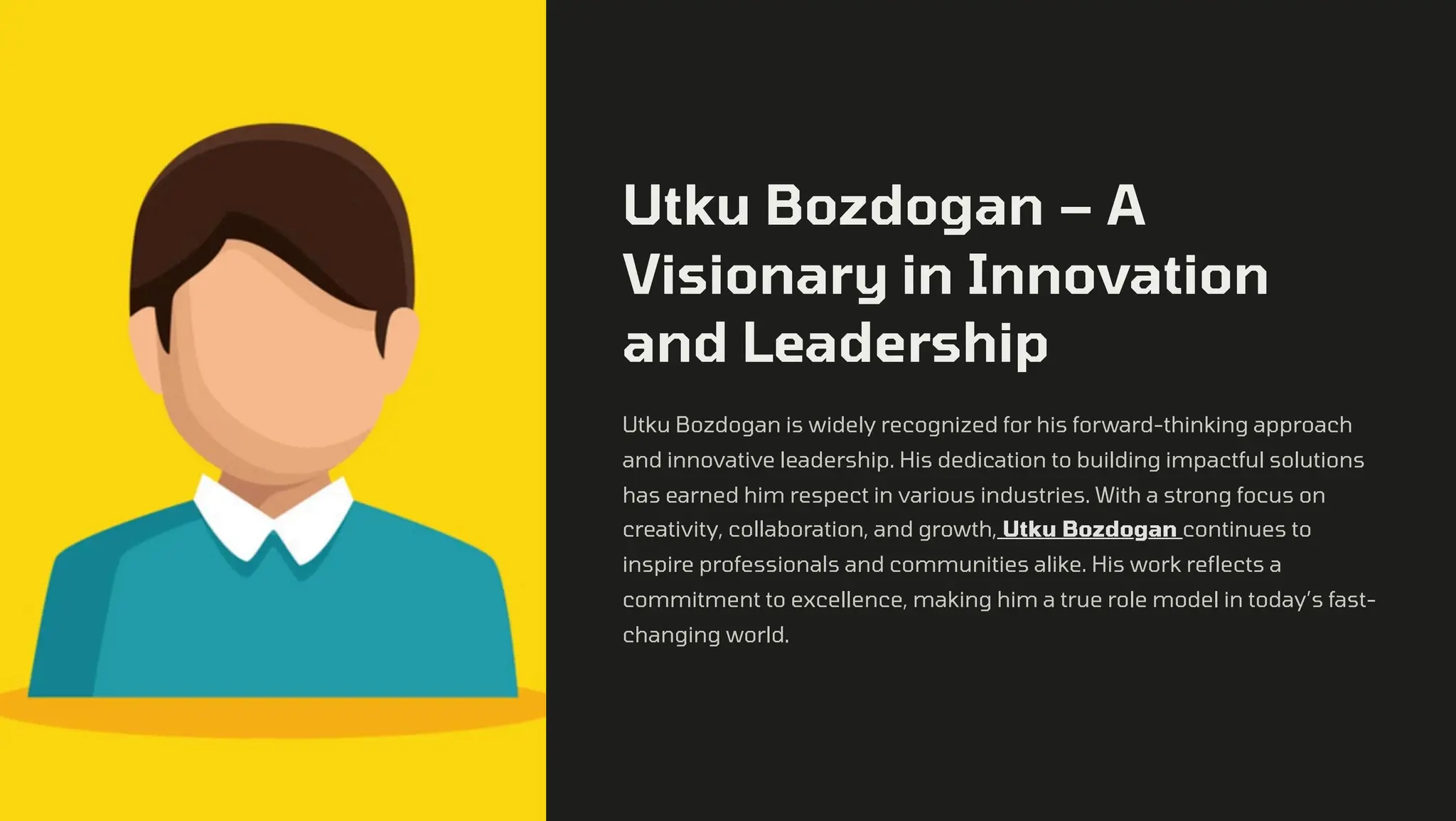 The Professional Journey of Utku Bozdogan | PDF