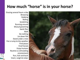 Introduction to Horse Keeping | PPTX