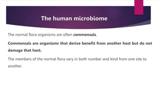 UT microbiome.pptx