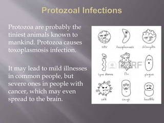 Infection_in_cancer_.ppt