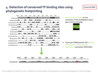 Integrative inference of transcriptional networks in Arabidopsis yields novel ROS signalling ...