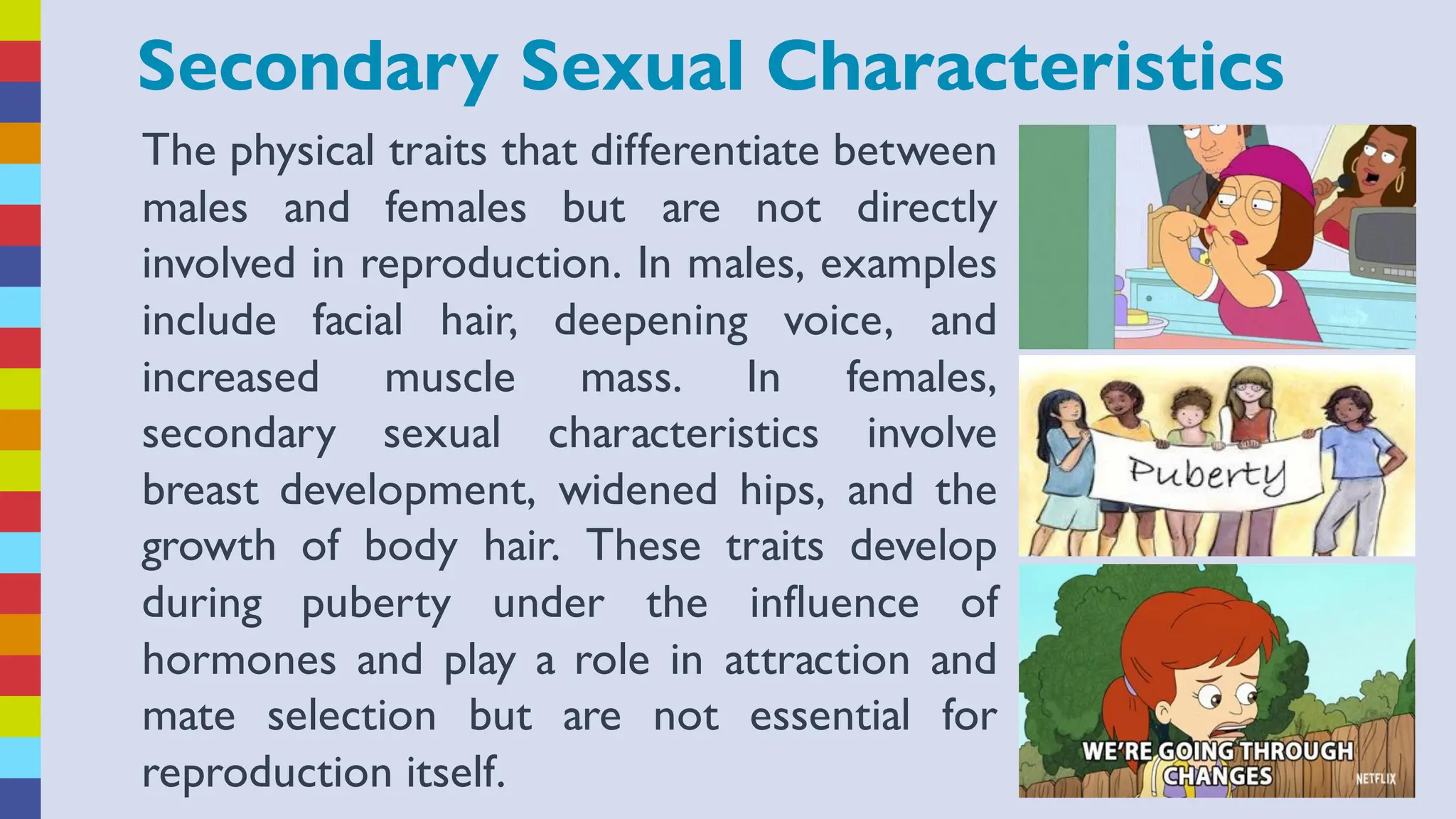 UTS-The-Sexual-self. understanding the self | PDF