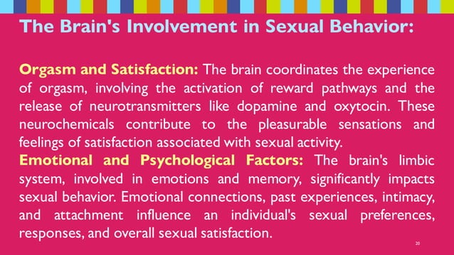 UTS-The-Sexual-self. understanding the self | PDF | Sexual Conditions | Sexual Health