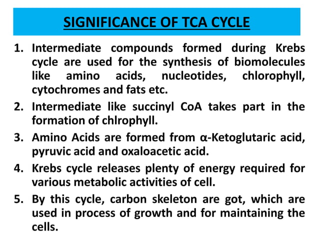 TCA CYCLE | PPTX