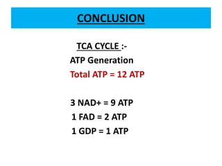 TCA CYCLE | PPTX
