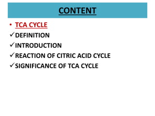 TCA CYCLE | PPTX