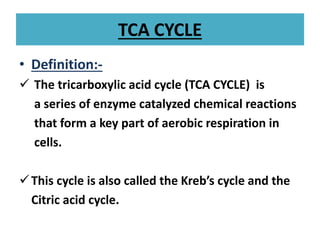 TCA CYCLE | PPTX