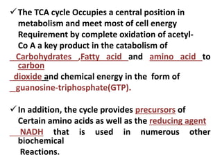 TCA CYCLE | PPTX