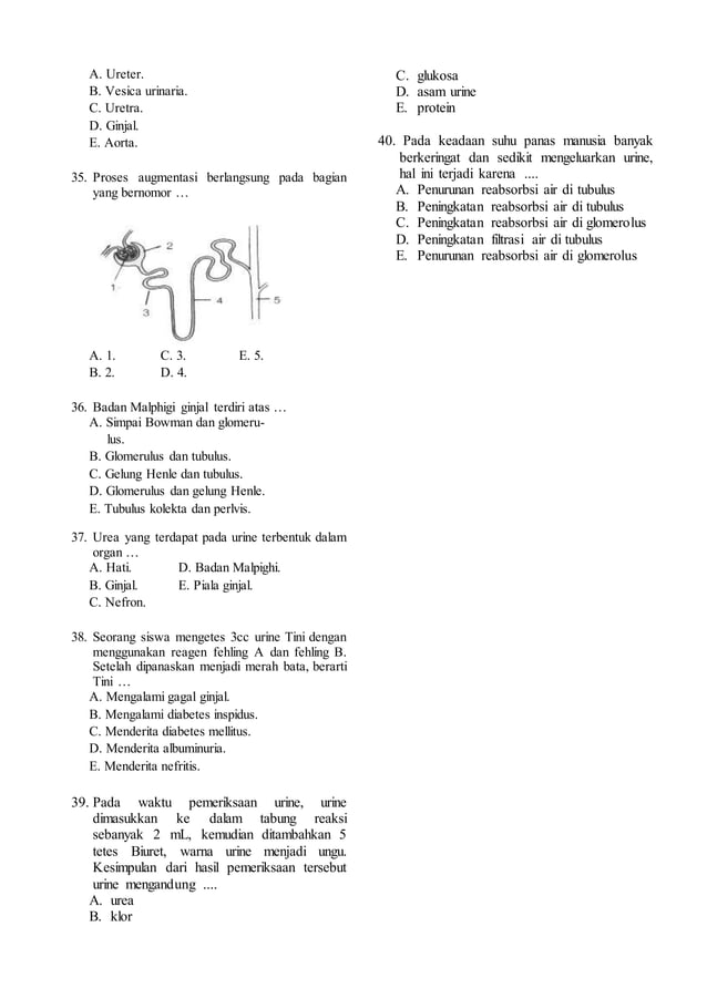 Uts genap biologi xi mia1 | PDF