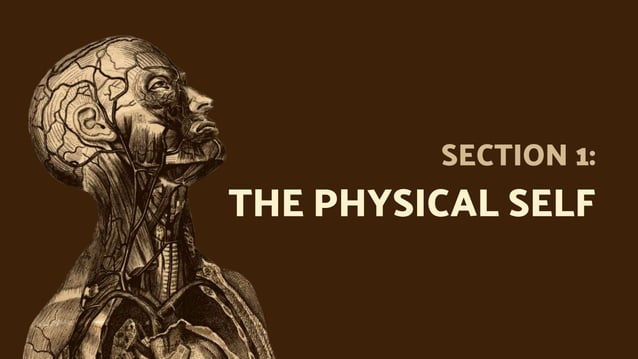 UTS MODULE 2_ Section 1.pptx