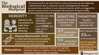 UTS MODULE 2_ Section 1.pptx