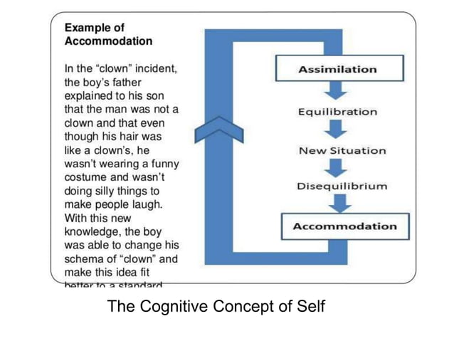 Piaget Cognitive Self | PPTX | Science